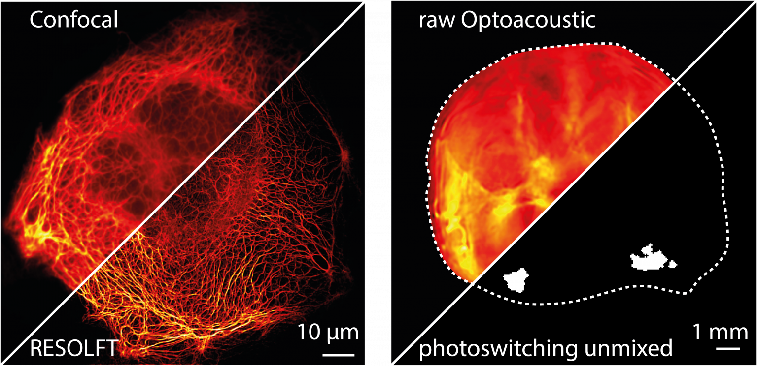 Photo-switchable Proteins – Stiel Lab (Cell Engineering Group)